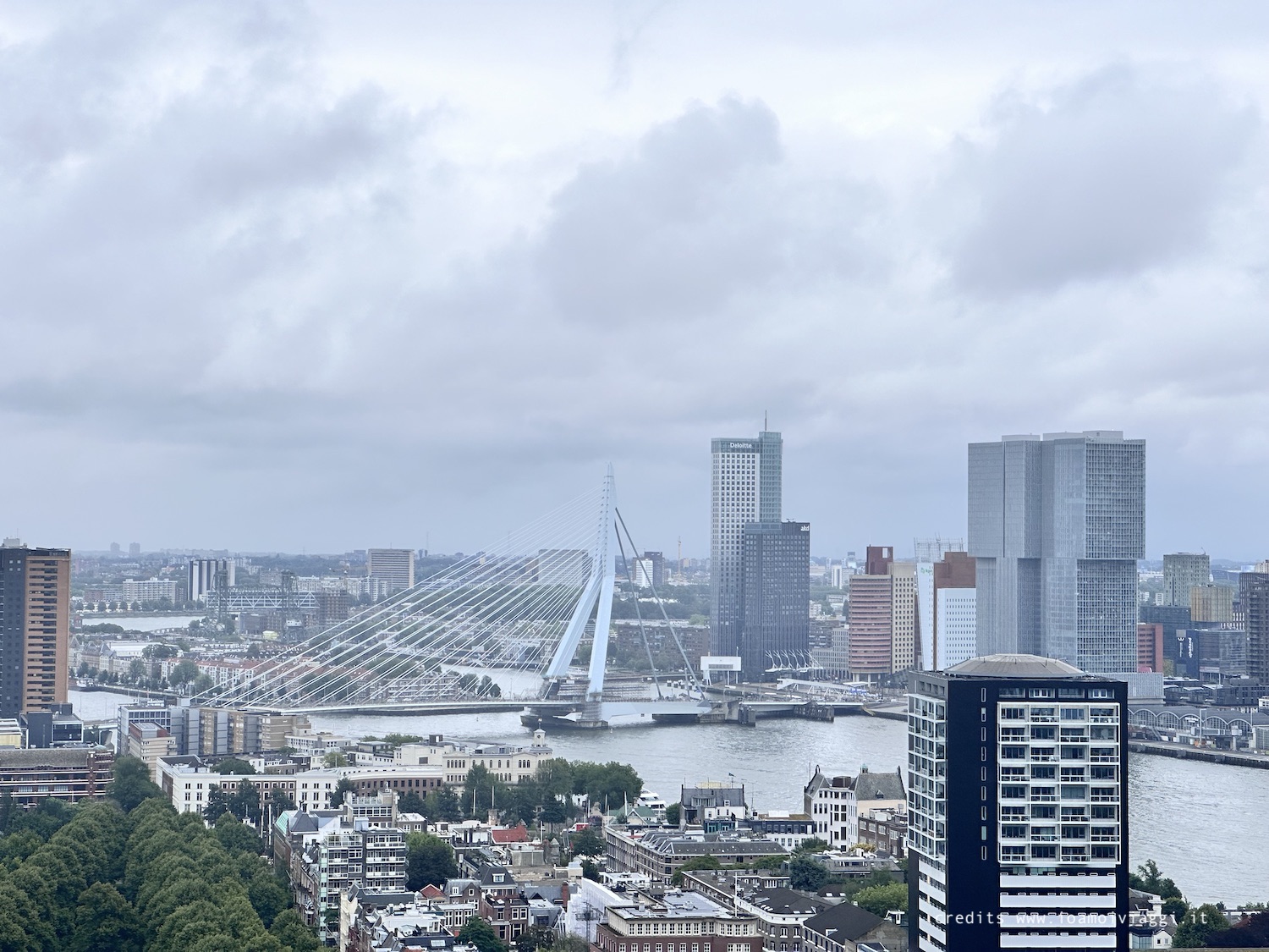 Rotterdam con i bambini: cosa visitare? - Io Amo i Viaggi